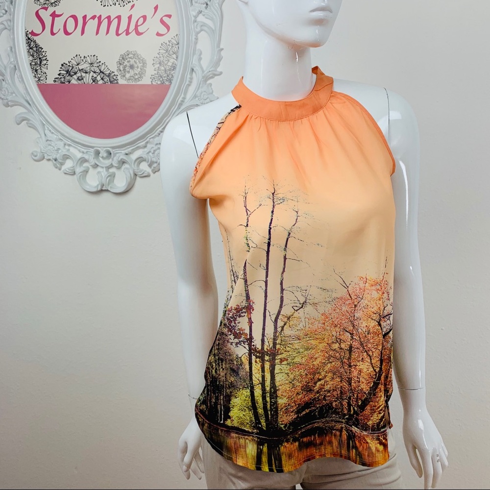 Sm Wardrobe / Sheer Orange Tree Landscape Design - Gem